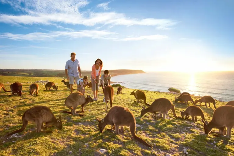 Discover Kangaroo Island – Australia’s untamed symbol of beauty | Earth ...